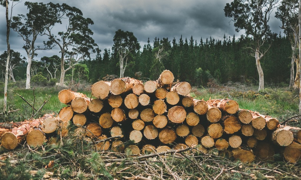 What is the Meaning of the Floating Axe Head in the Bible? – Courage ...